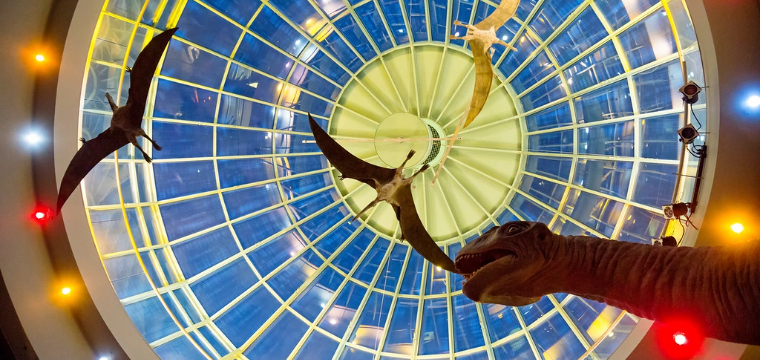 North Carolina Museum of Natural Sciences